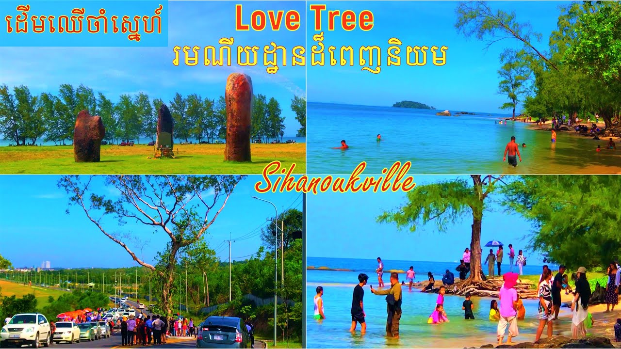 Love Tree,Popular Resorts Sihanoukville Love tree ,ដើមឈើចាំស្នេហ៍ ...