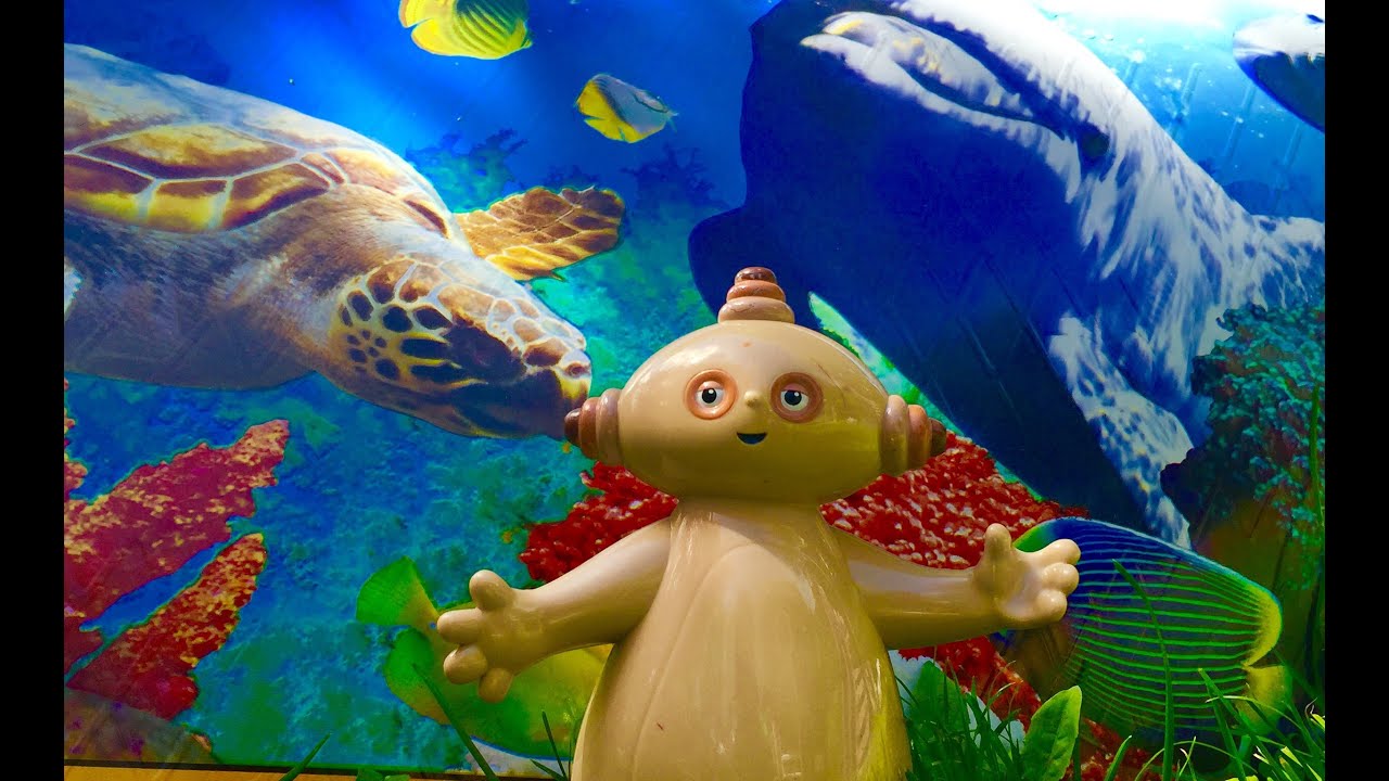 MAKKA PAKKA Toy Swims In Ocean Pool! - YouTube