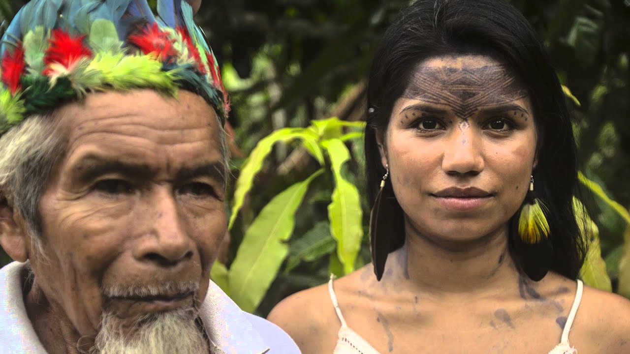 Amazon Watch: Protecting the Amazon by Advancing Indigenous Rights ...