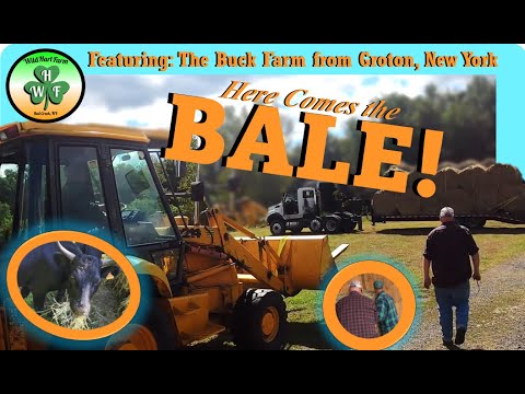 Here Comes the Bales! Featuring the Buck Farm who helped our Hungry ...
