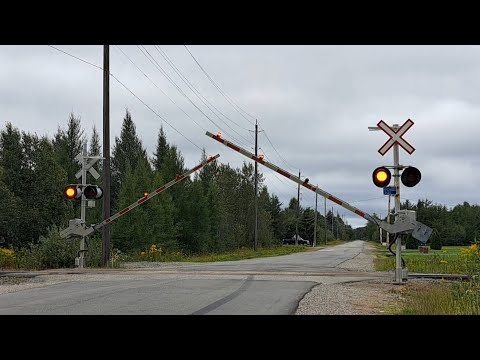 THE WEIRDEST TRAIN I'VE EVER SEEN?! Railroad Crossing | Bodson Drive, Val Caron, ON (Video 3)