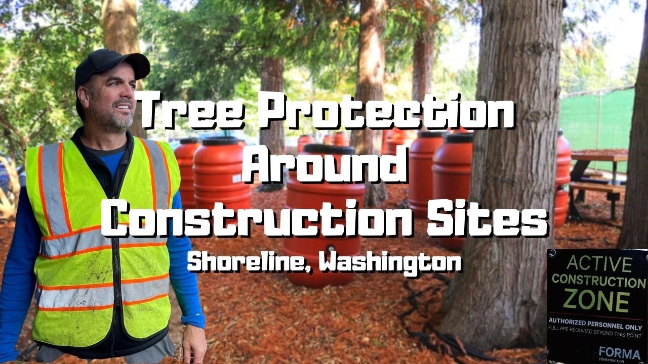 Setting Up Tree Protection Area Around Construction Sites - YouTube