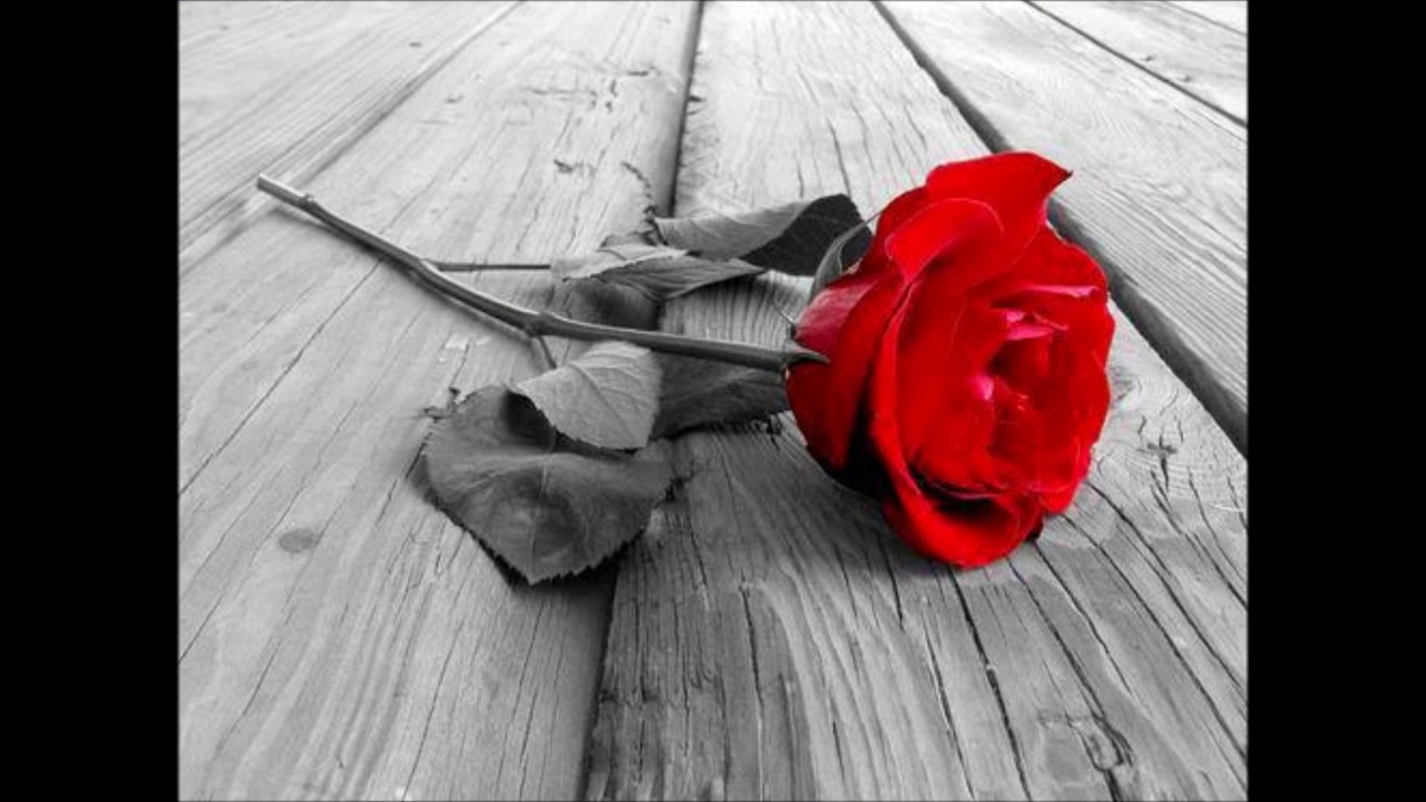 Never Part Again - 449 - SDA Hymnal - YouTube