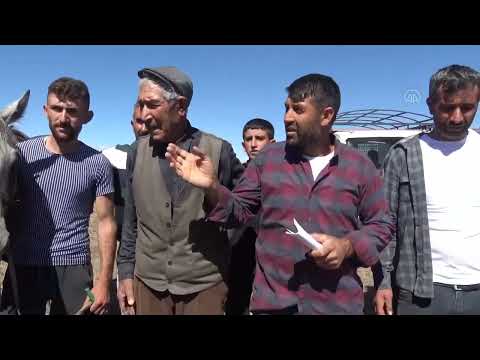 Kars'ta geleneksel at yarışları yapıldı