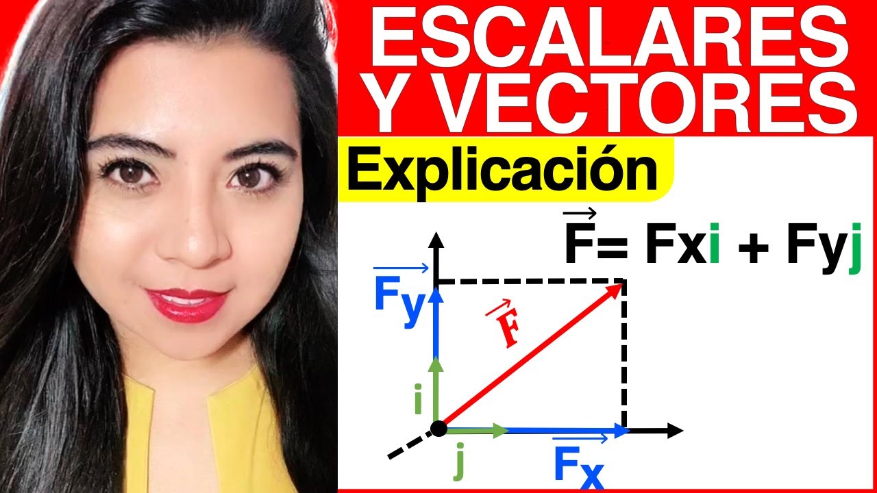 ¿CUÁLES SON LOS COMPONENTES ESCALARES y LAS COMPONENTES VECTORIALES ...