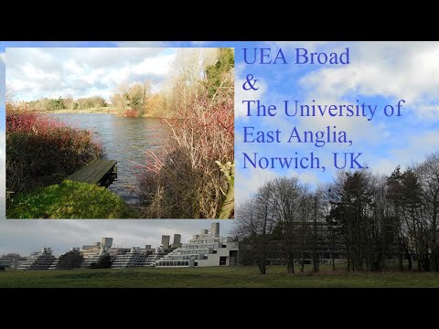 UEA broad, University of East Anglia, Norwich, UK in 2018. - YouTube