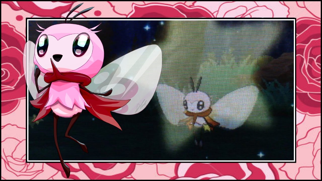 (WSHC #7 2016-17) LIVE!! 2nd Shiny Ribombee after 4,198 REs in Moon ...
