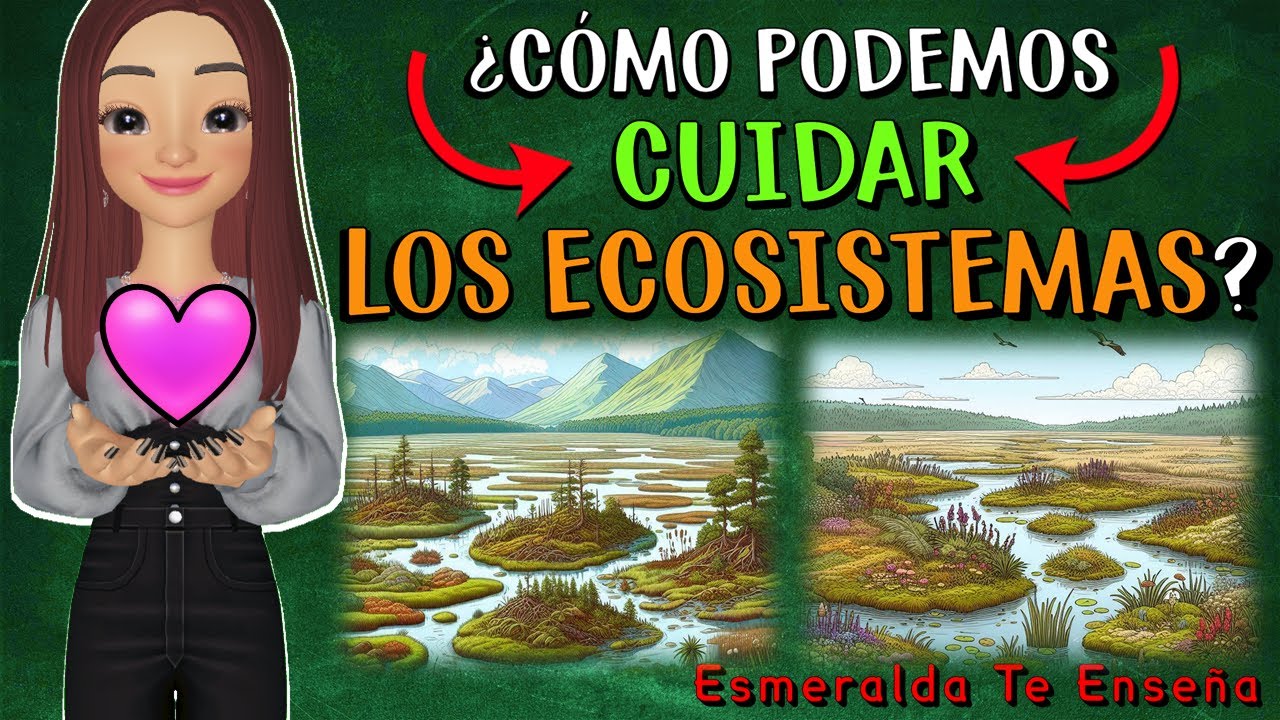 Acciones Para Cuidar los Ecosistemas - YouTube