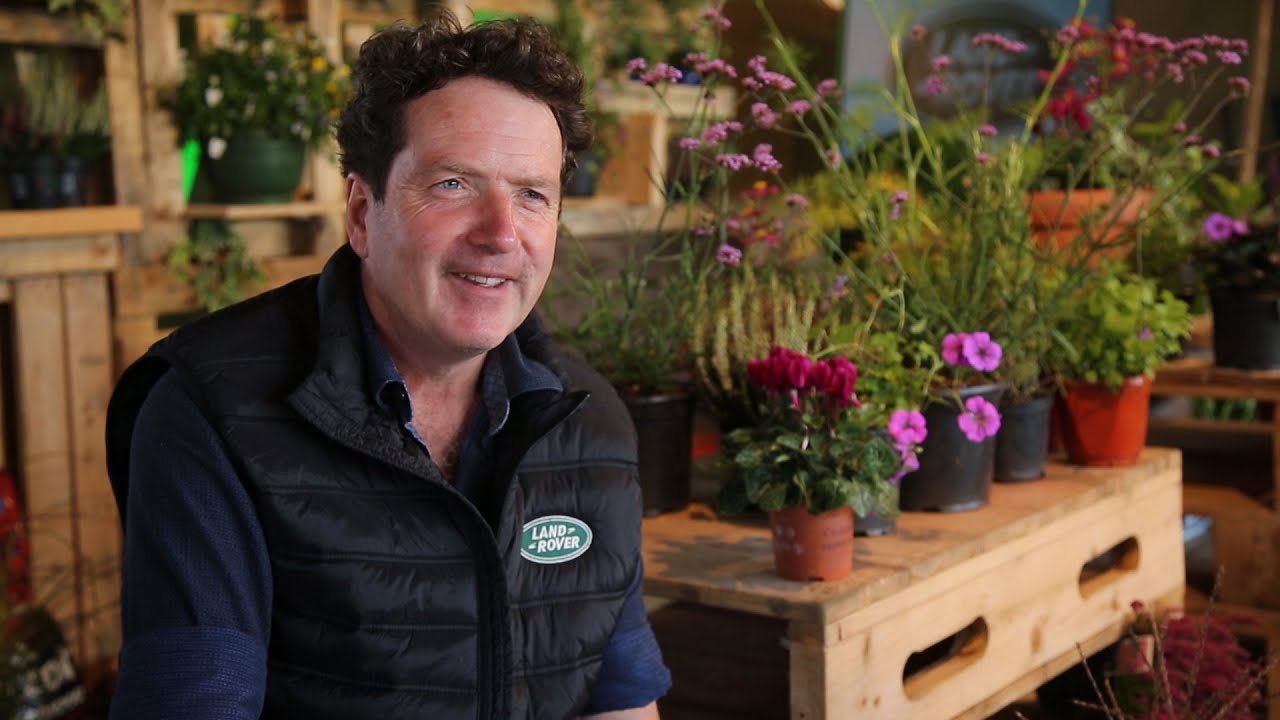 VIDEO: Diarmuid Gavin's top tips for your autumn garden - Ploughing ...