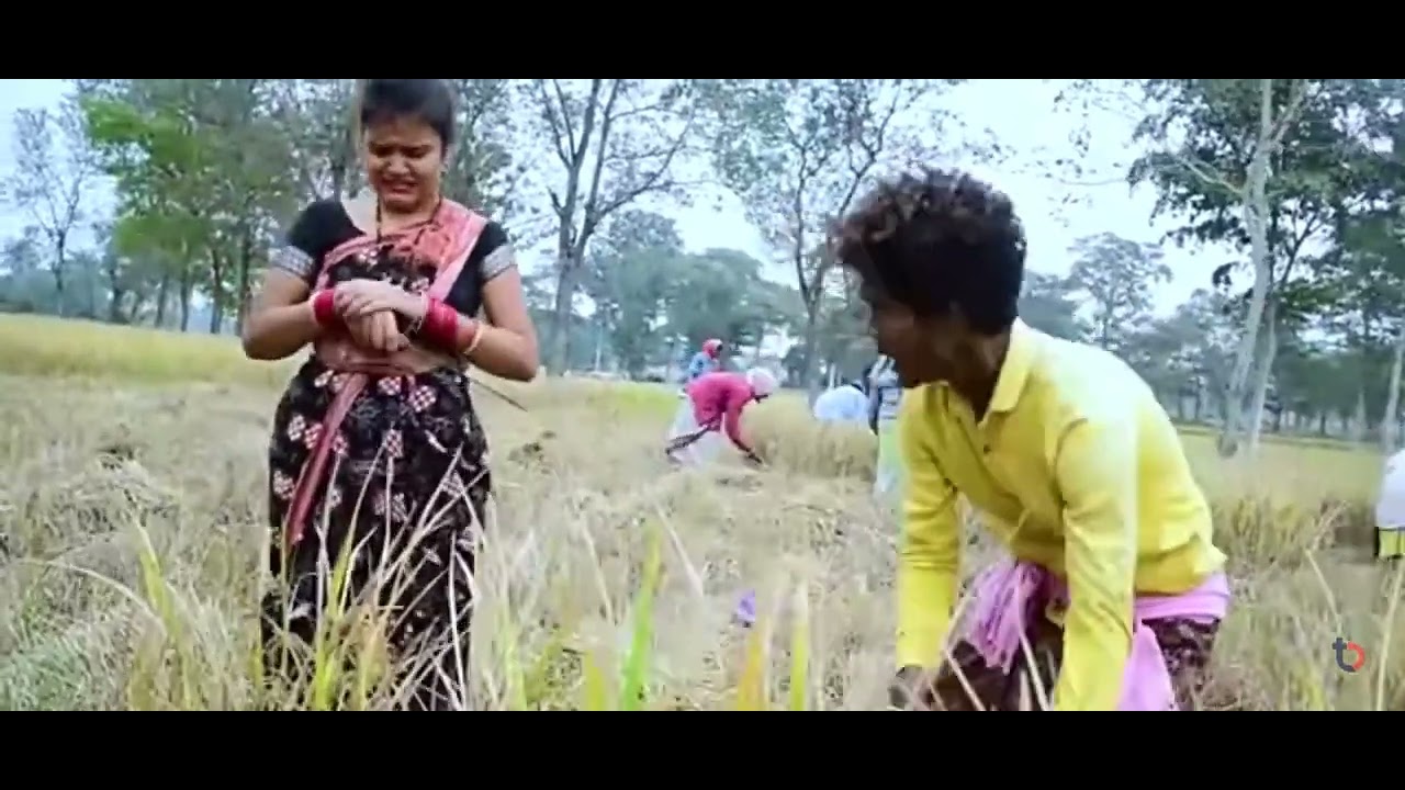 ଚାଷୀ ଘରର ବହ Tinku tingalu Comedy Video 🤣🤣 - YouTube