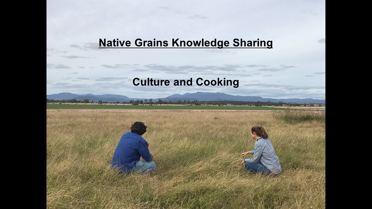 Native Grains Knowledge Sharing 1: Culture and Cooking - YouTube