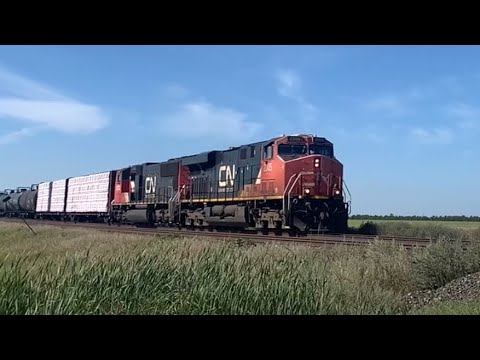 A Pair of CN Trains Highballing in Elie, MB. (9/3/2022) - YouTube