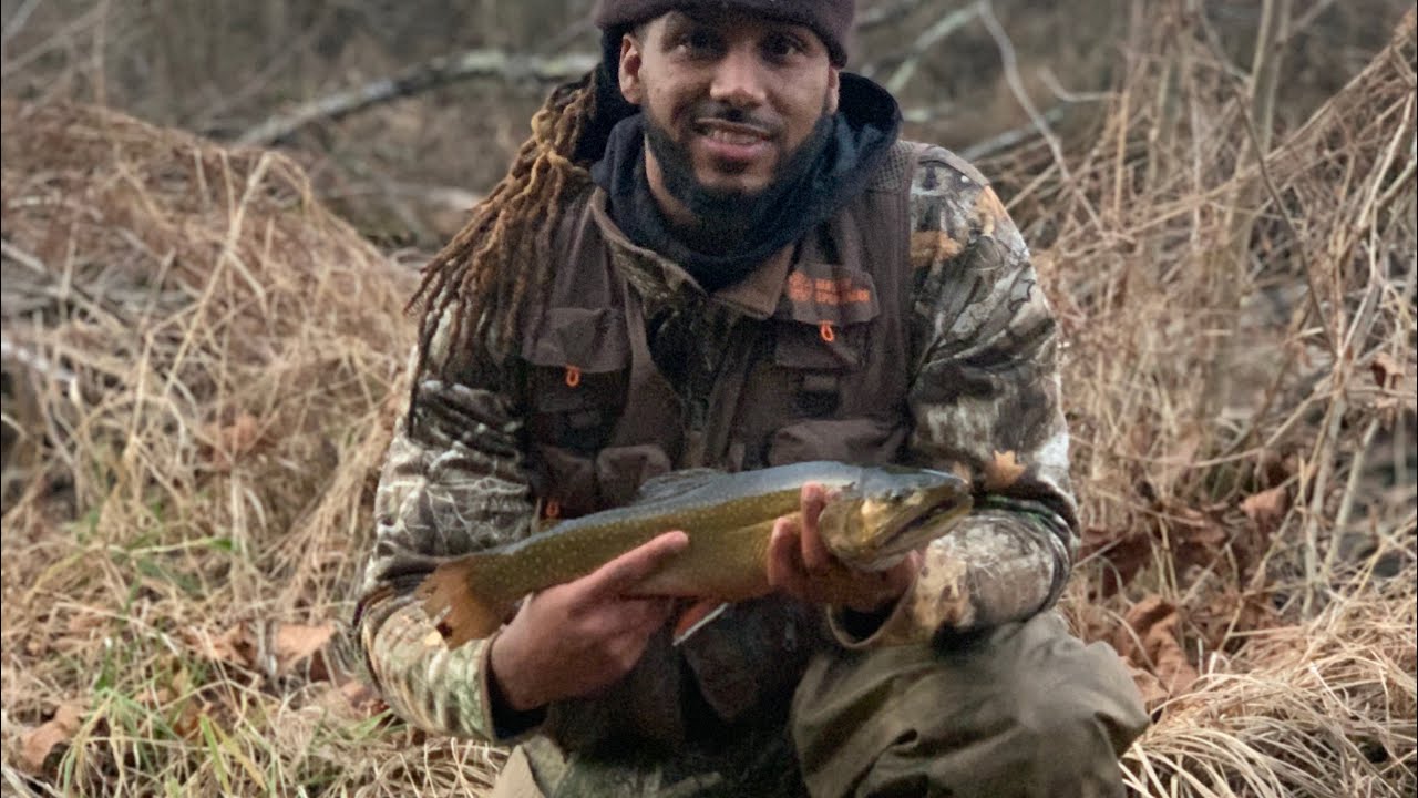 CREEK Fishing for Big Wild TROUT - YouTube