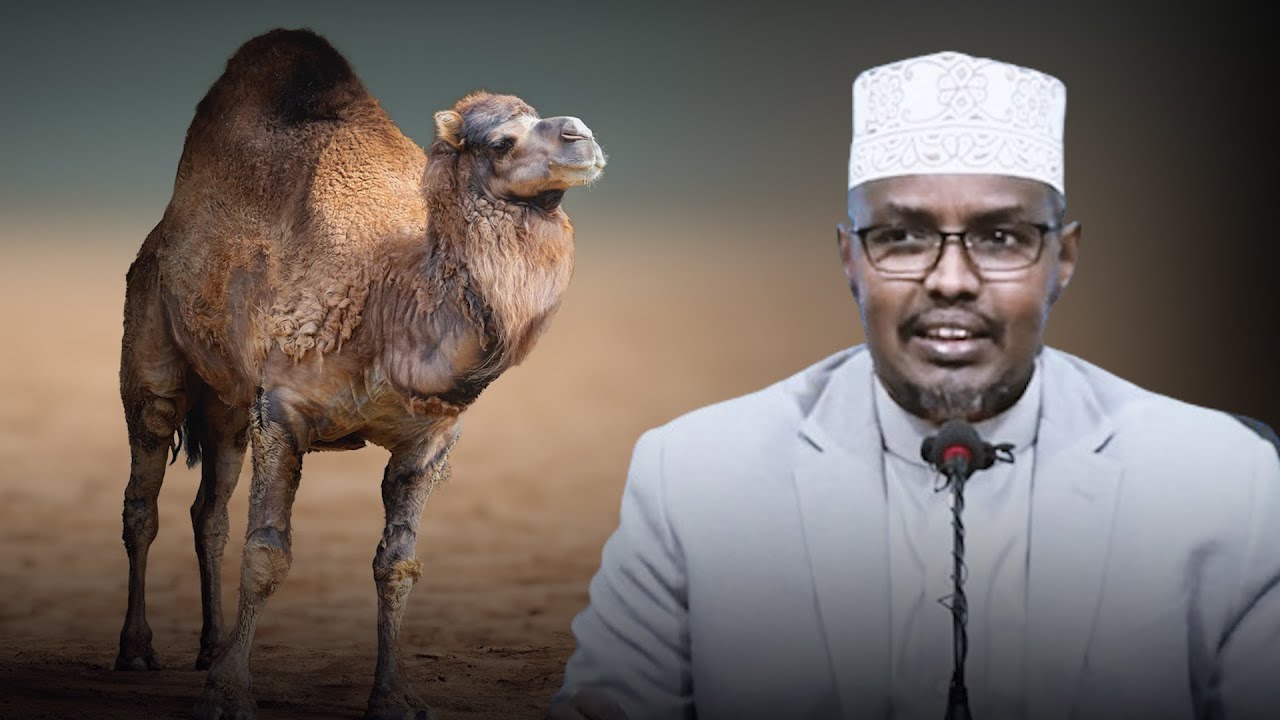 Qisada Nin Reer Baadiye ahaa oo Ka Yaabiyey Ninkii Dunida ugu Deeq ...