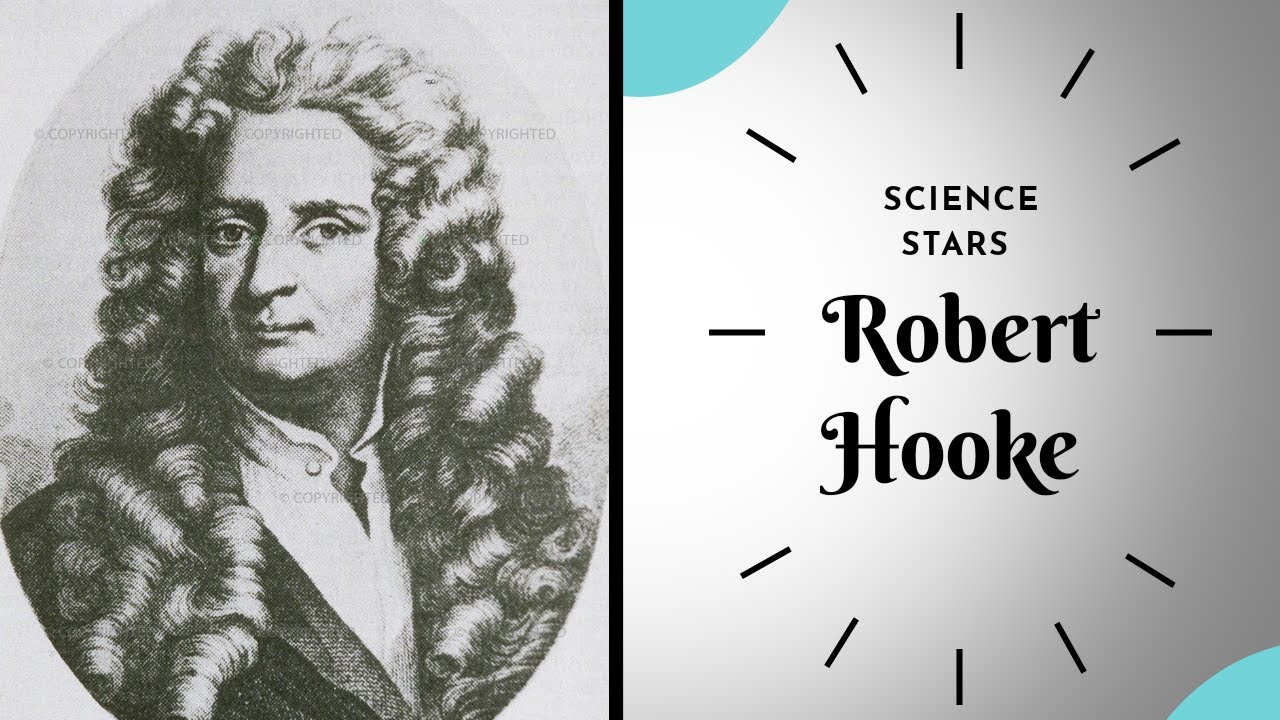 Robert Hooke Science Konstruiert Euer Eigenes Mikroskop: Auf Den