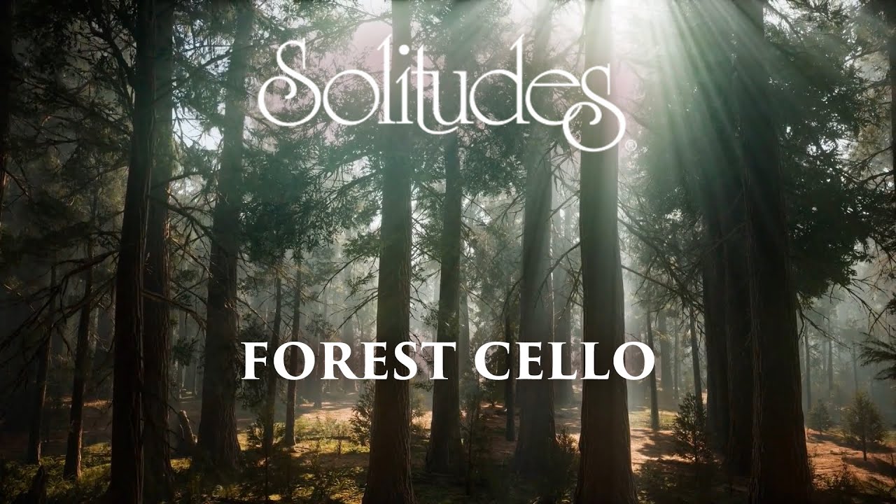 Dan Gibson’s Solitudes - Nature's Path | Forest Cello - YouTube