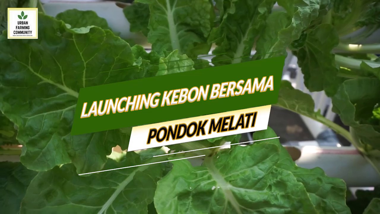 Full Video Lanching Kebun Bersama ( Urban Farming Community ) - YouTube