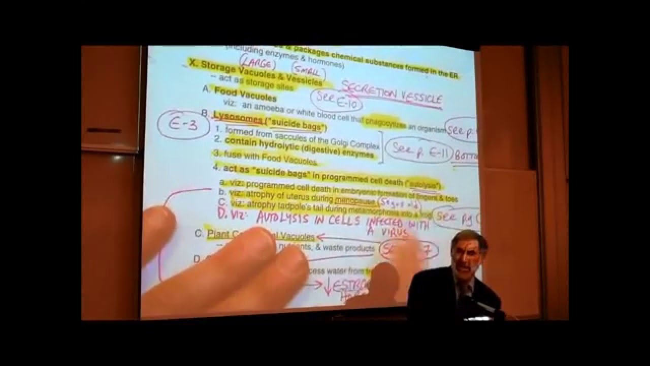 ANATOMY; REVIEW OF CYTOLOGY; PART 3 by Professor Fink - YouTube