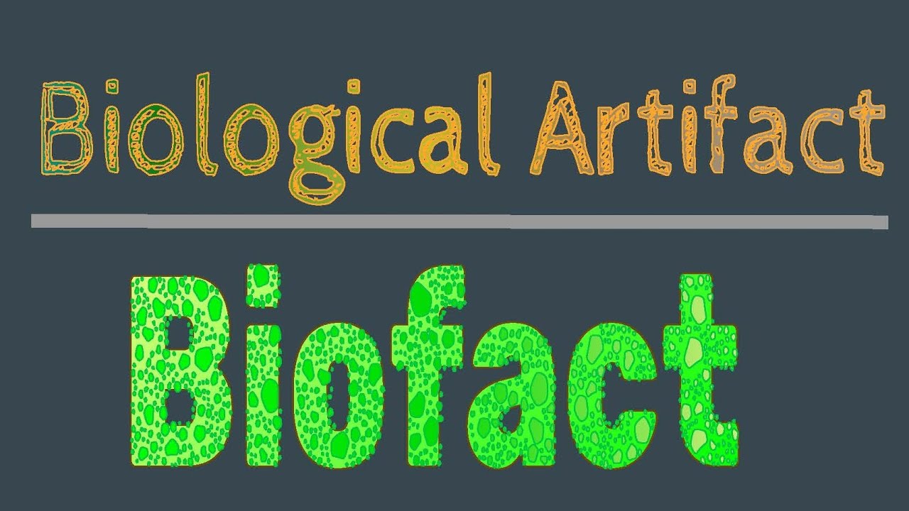 Biofacts!! - YouTube