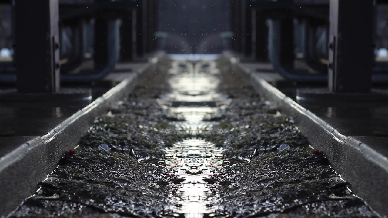 Water Drip Loop - YouTube