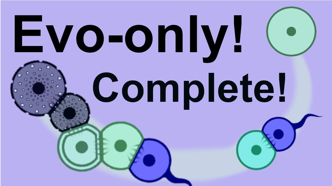 First time in the history! Cell Lab: Evo-only guide - YouTube