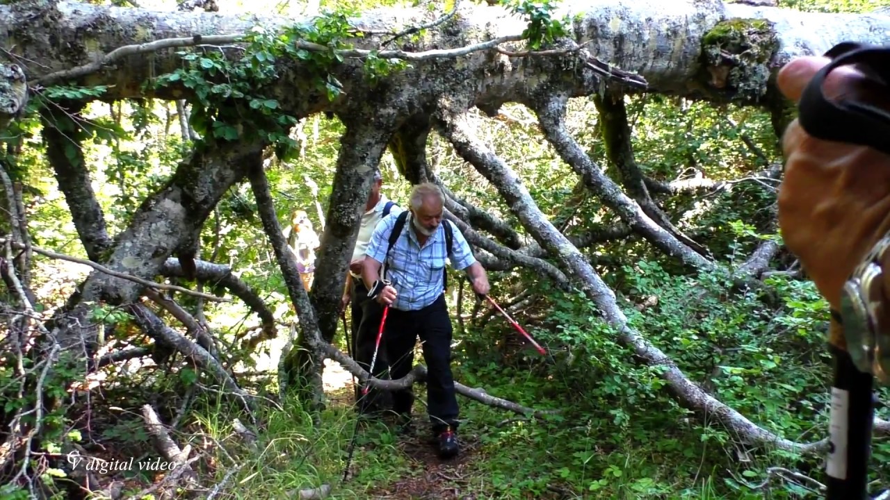 Selva Moricento Lecce dei Marsi AQ - YouTube