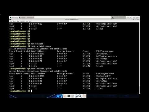 Cisco - CyberOps Associate - 4.3.4 Lab - Linux Servers - YouTube