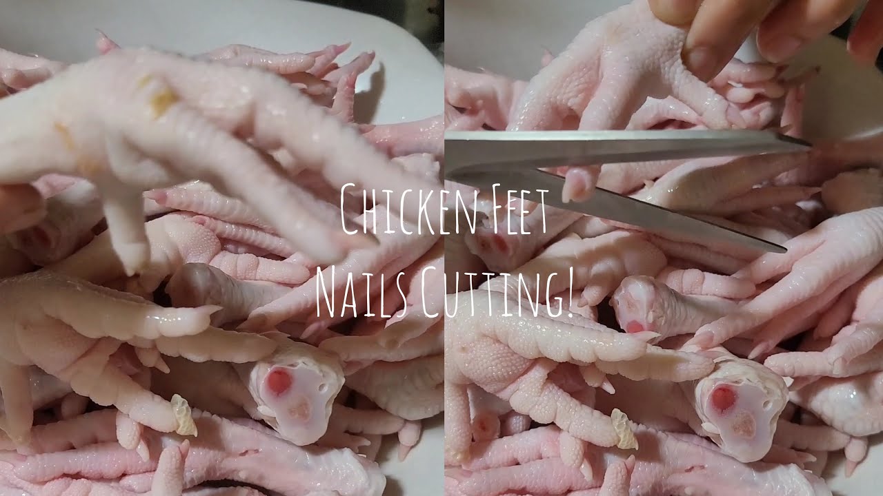 Cutting chicken feet nails! Satisfying cut ASMR! - YouTube