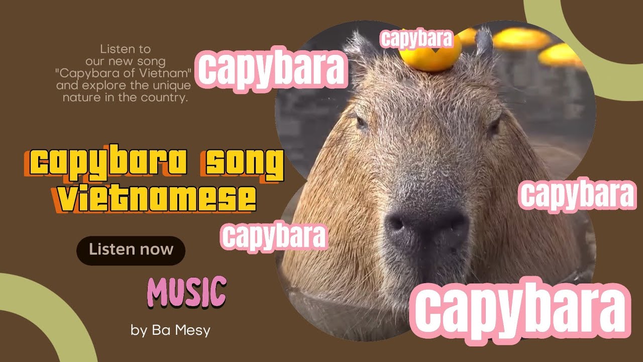 Capybara dễ thương ơi - bài hát Tiếng việt vietnamese song # ...