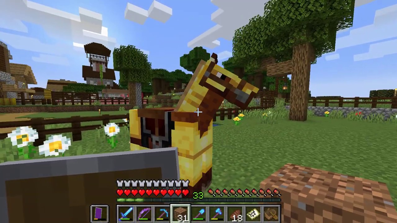 Finally Built a Stable - YouTube