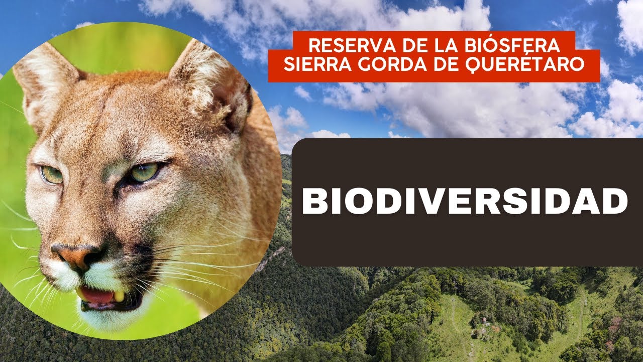 Serie: Reserva de la Biósfera Sierra Gorda de Querétaro / Episodio 1 ...