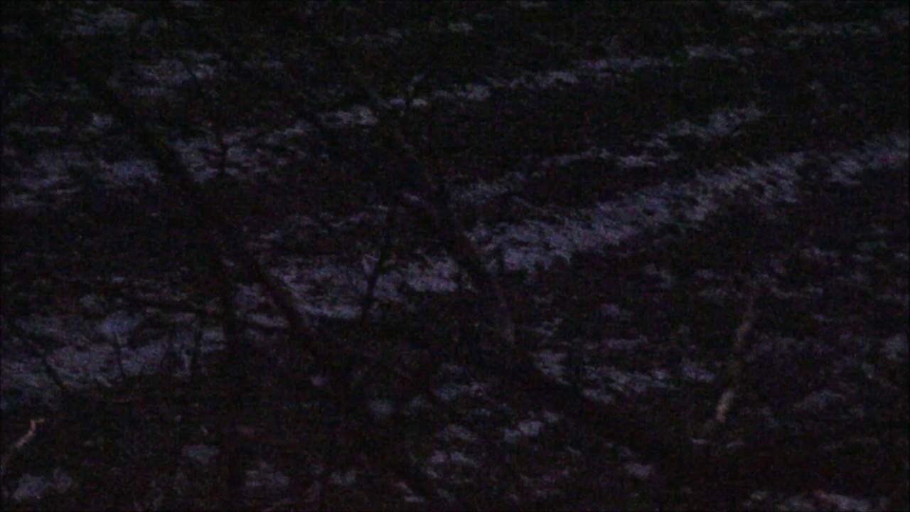 Last hunt for a 150+ INCH Deer Named Marco. Monster whitetail deer ...