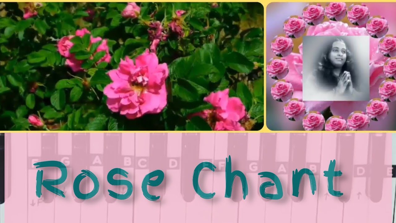 129. Rose Chant 🌹 Paramhansa Yogananda - Harmonium Notes - YouTube