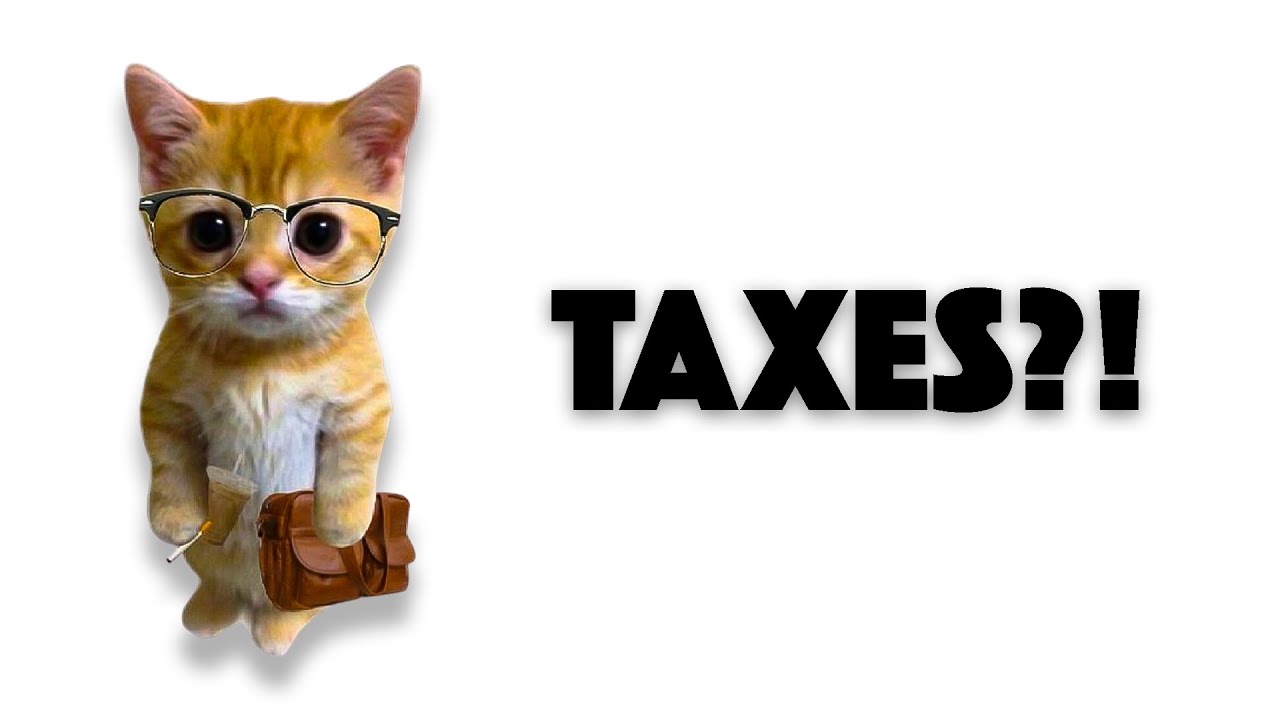 Taxes Explained by Cats (You’ll Actually Understand!) - YouTube