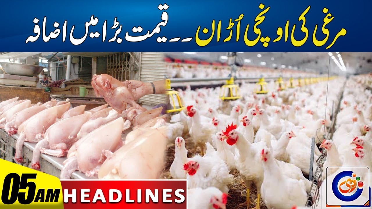 Chicken Price Hikes In South Punjab | 5AM News Headlines l 25 Feb 2025 l Rohi - YouTube