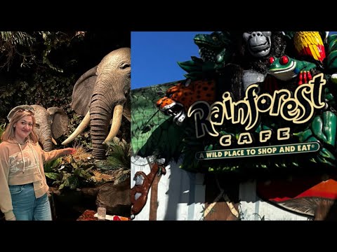 RAINFOREST CAFE -2024| WILD PLACE TO SHOP AND EAT | PHOENIX, ARIZONA ...