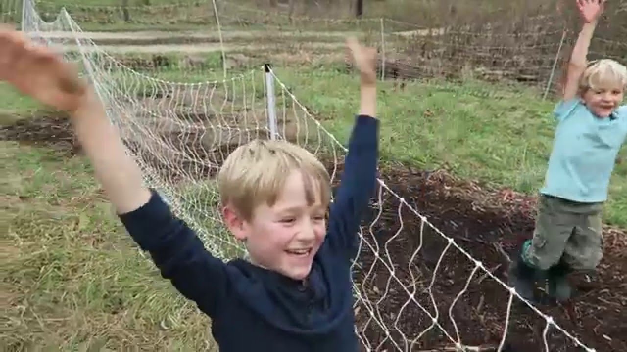 Chickens Escaping! (Pilot Vlog) - YouTube