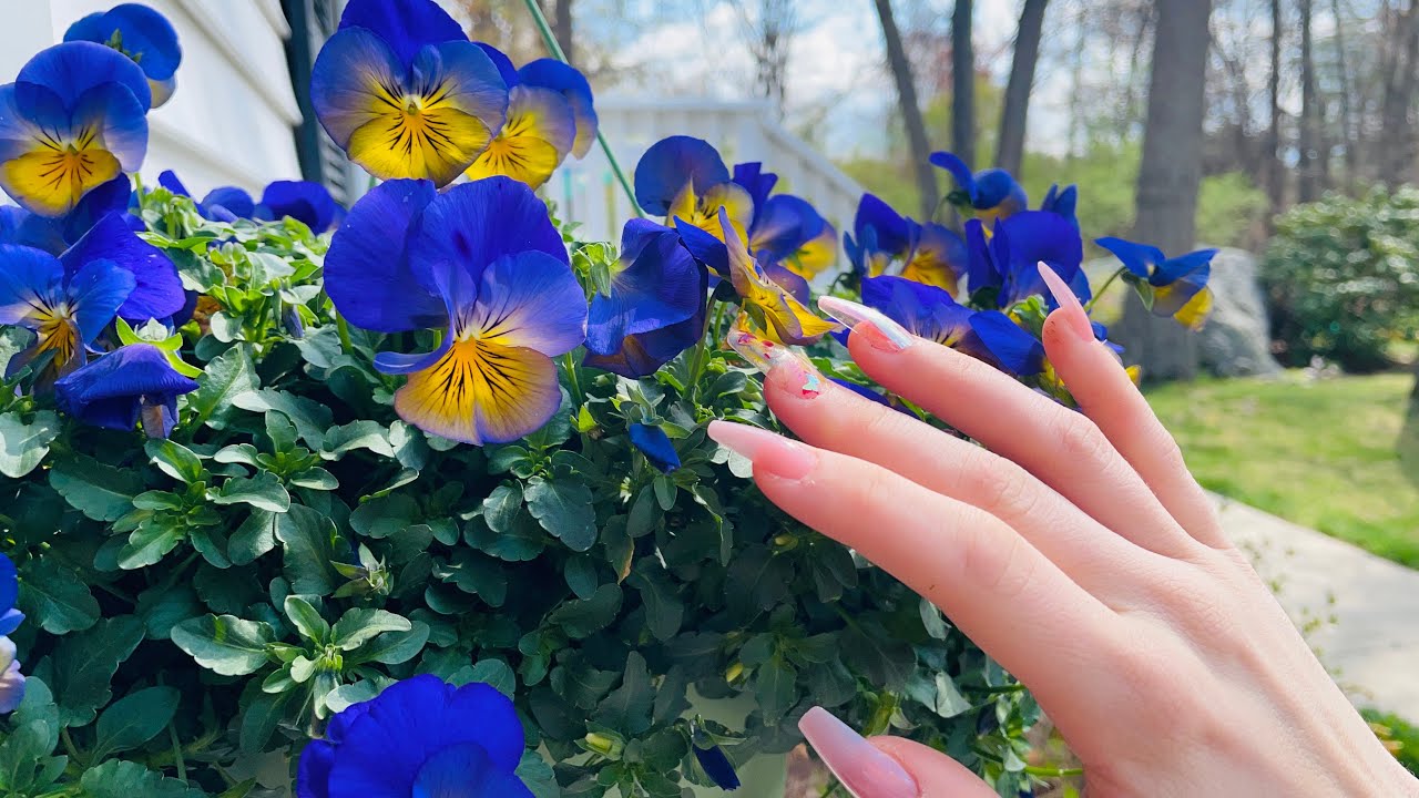 ASMR! SPRING Garden Tingles! 🌸🌺🌹🌻🥀 - YouTube