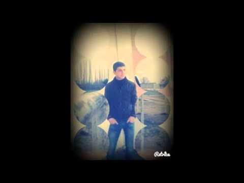 ceyhun nicat berdeli bradyaqalar
