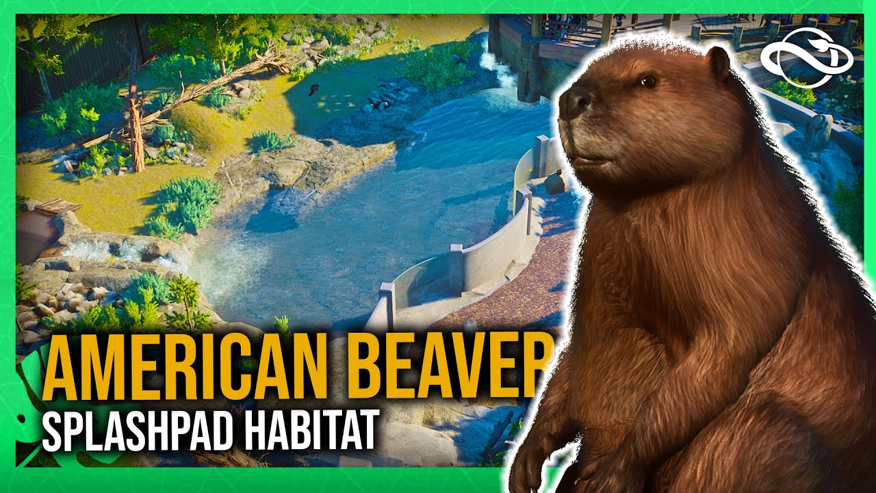 Beaver Habitat & Underwater Splashpad! - Sugar Pine Zoo - YouTube