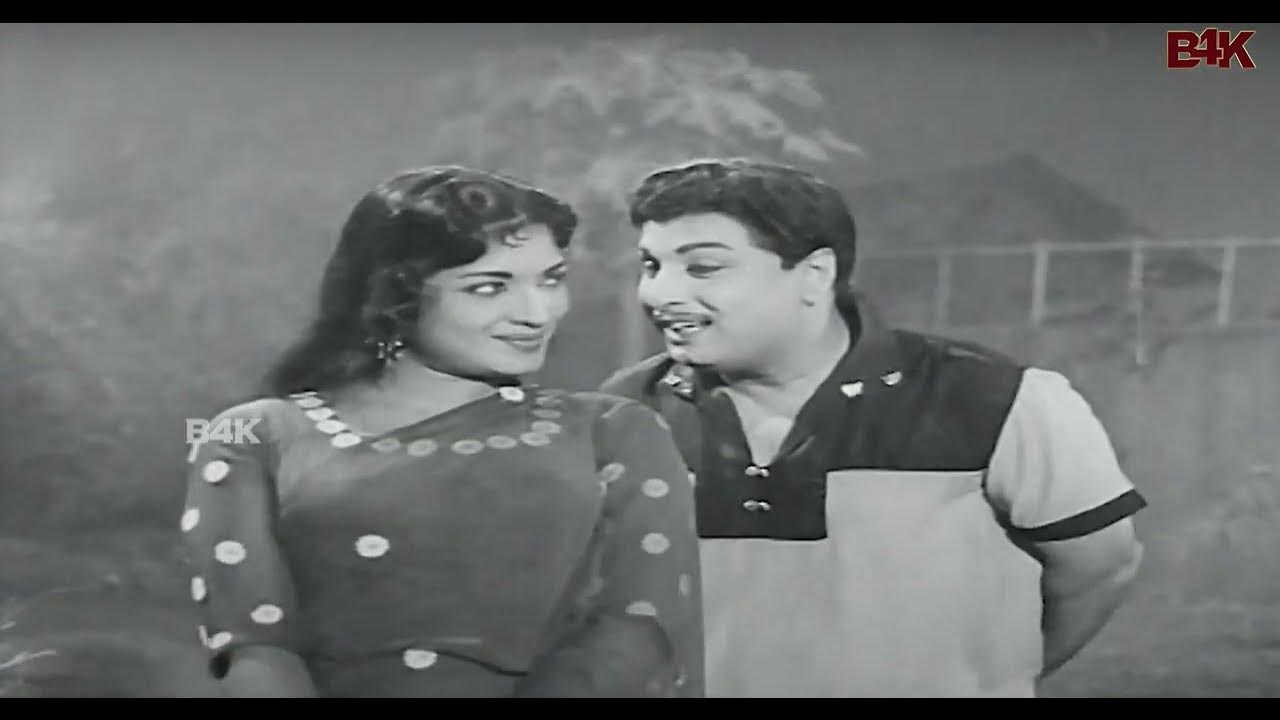 பனியில்லாத மார்கழியா | Paniyillatha Margazhiya | T.M. Soundararajan, P. Susheela | Superhit MGR ...