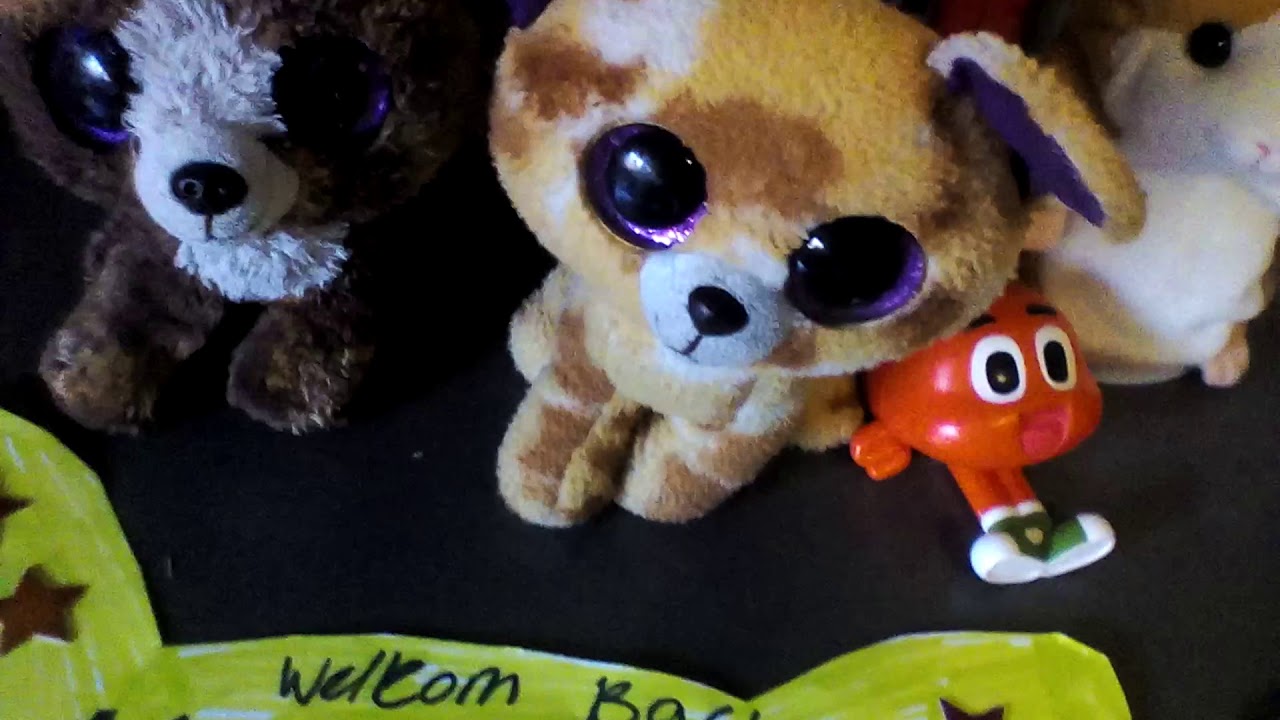 Beanie Boo Fashion Show part 2 - YouTube