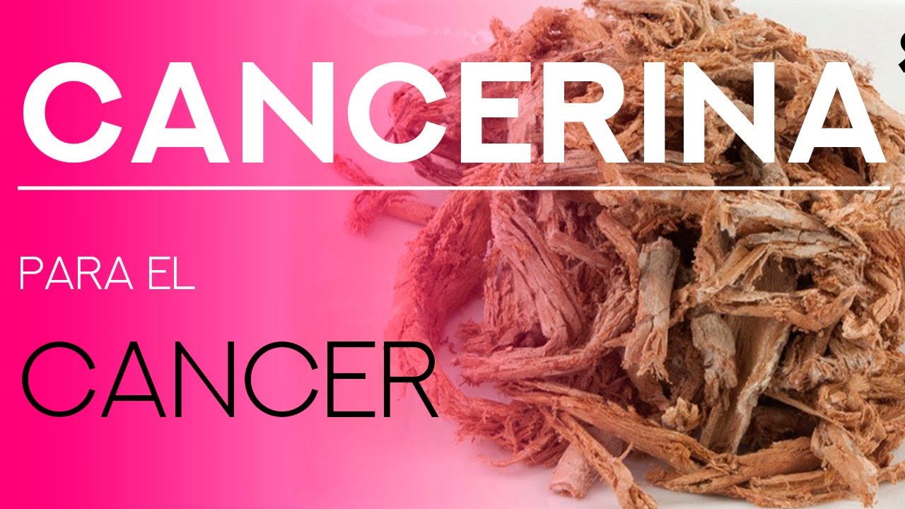CANCERINA para que sirve? 😲 PROPIEDADES, BENEFICIOS - Para el CANCER y ...