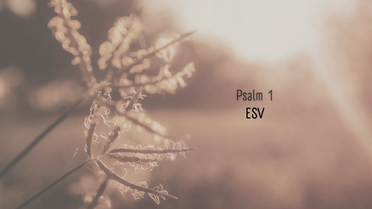 Psalm 1 ESV - YouTube