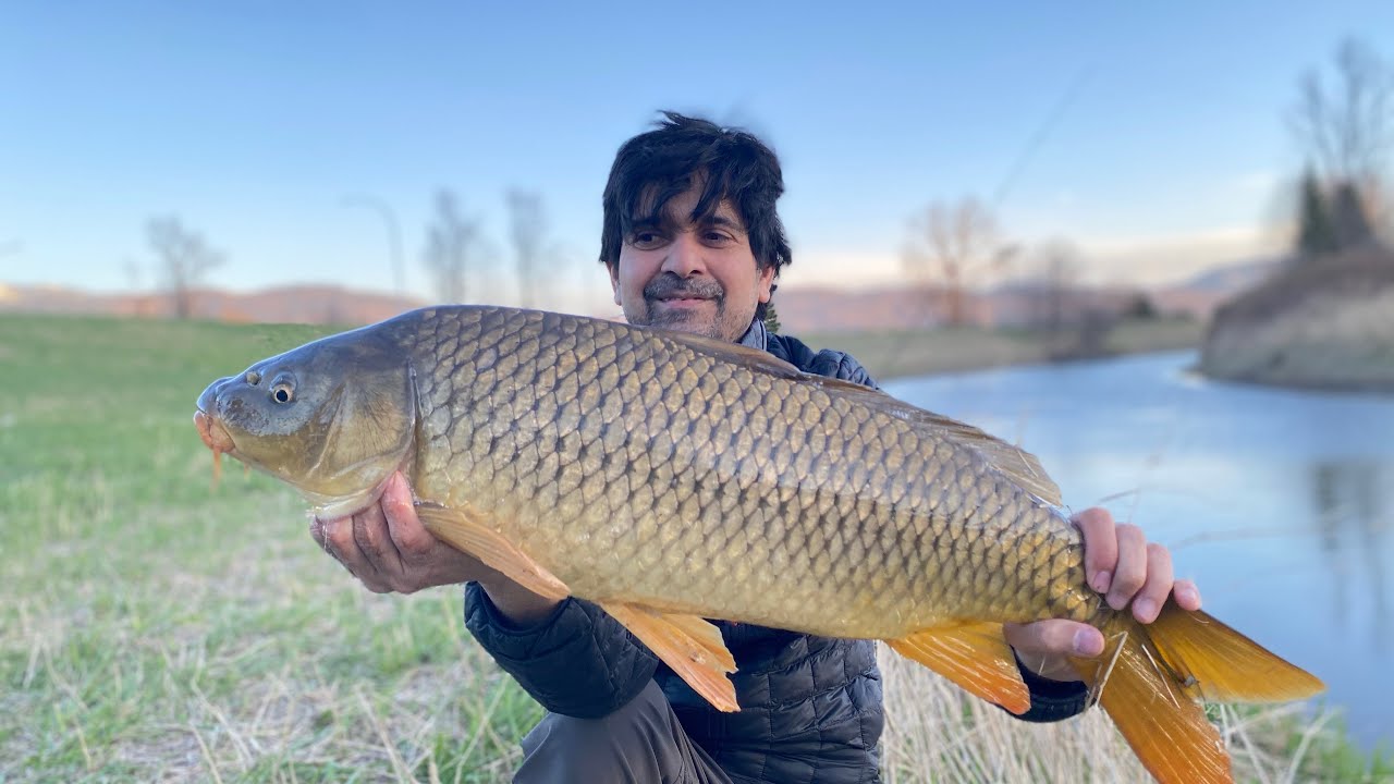 Carp Fishing in BC (British Columbia): Sumas River in Abbotsford Carp ...
