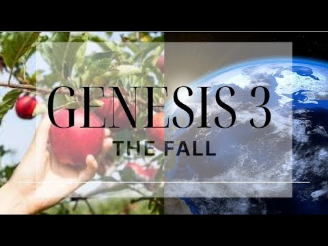 Genesis 3 | The Fall - YouTube