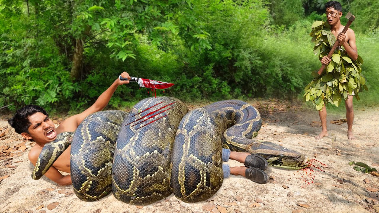Anaconda Snake Attacks Village Boy In Forest | An Anaconda Snake Attack Brief Story Part-03 ...