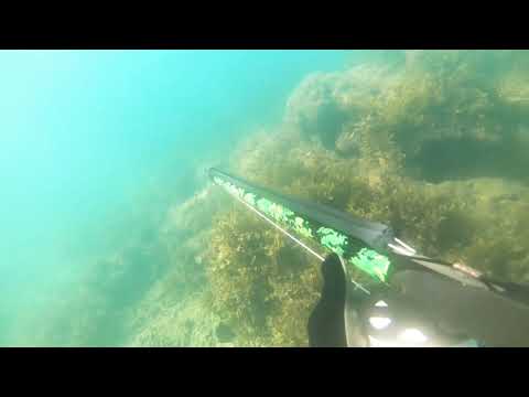 Shore dive done right spearfishing on an island. - YouTube