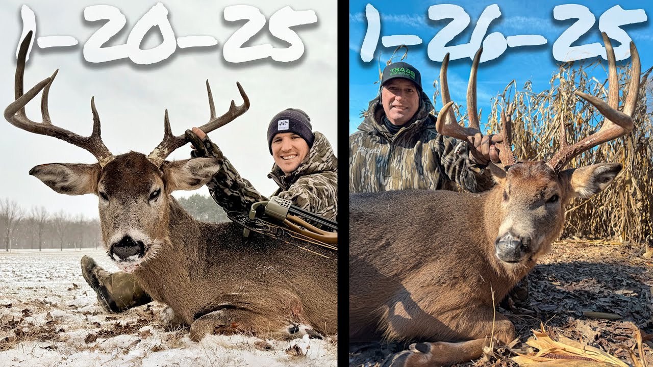 2 BIG Wisconsin Bucks out of the SAME SET 6 Days Apart | Hunt ...