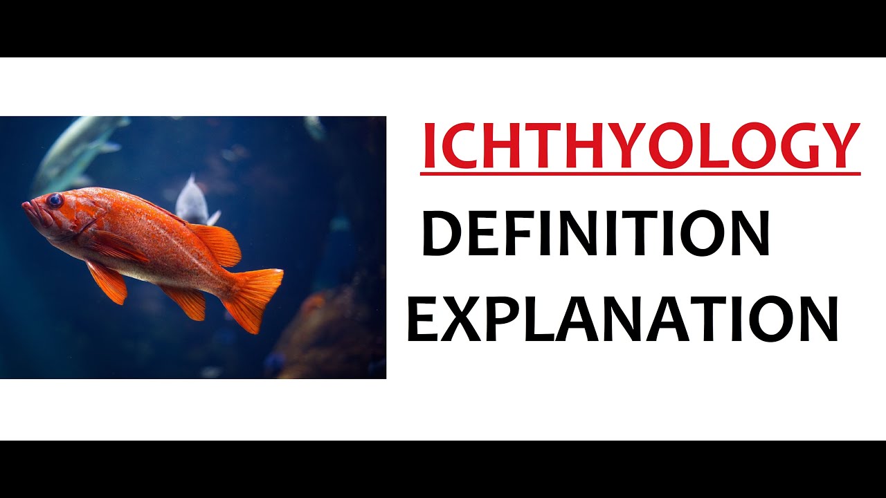 What is Ichthyology?| Explanation | - YouTube
